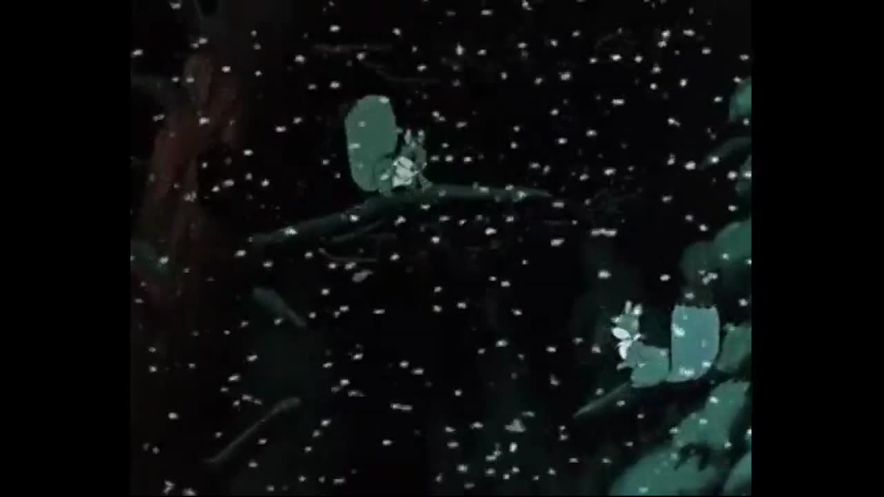 С Новым Годом! video clip by Niche Animation