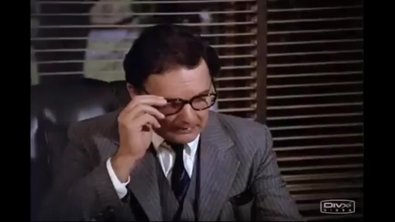 Daniel Simpson Day video clip by Animal House