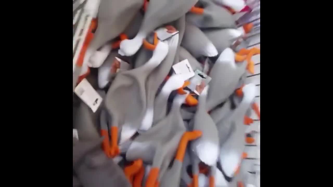 Duck Army: You Are Not the Father Version video clip by Vine