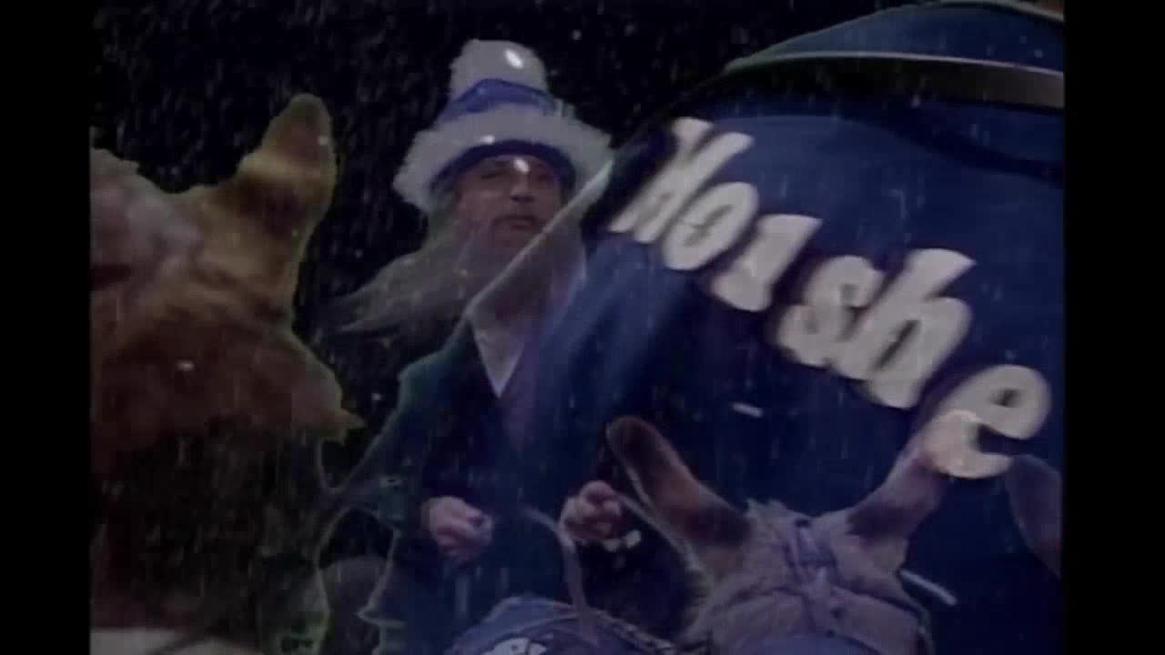 Hanukkah Harry video clip by SNL