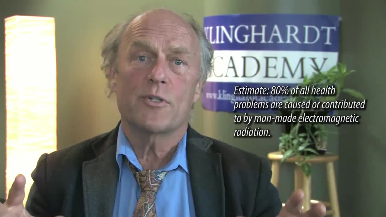 EMF and illness video clip by Dr. Klinghardt
