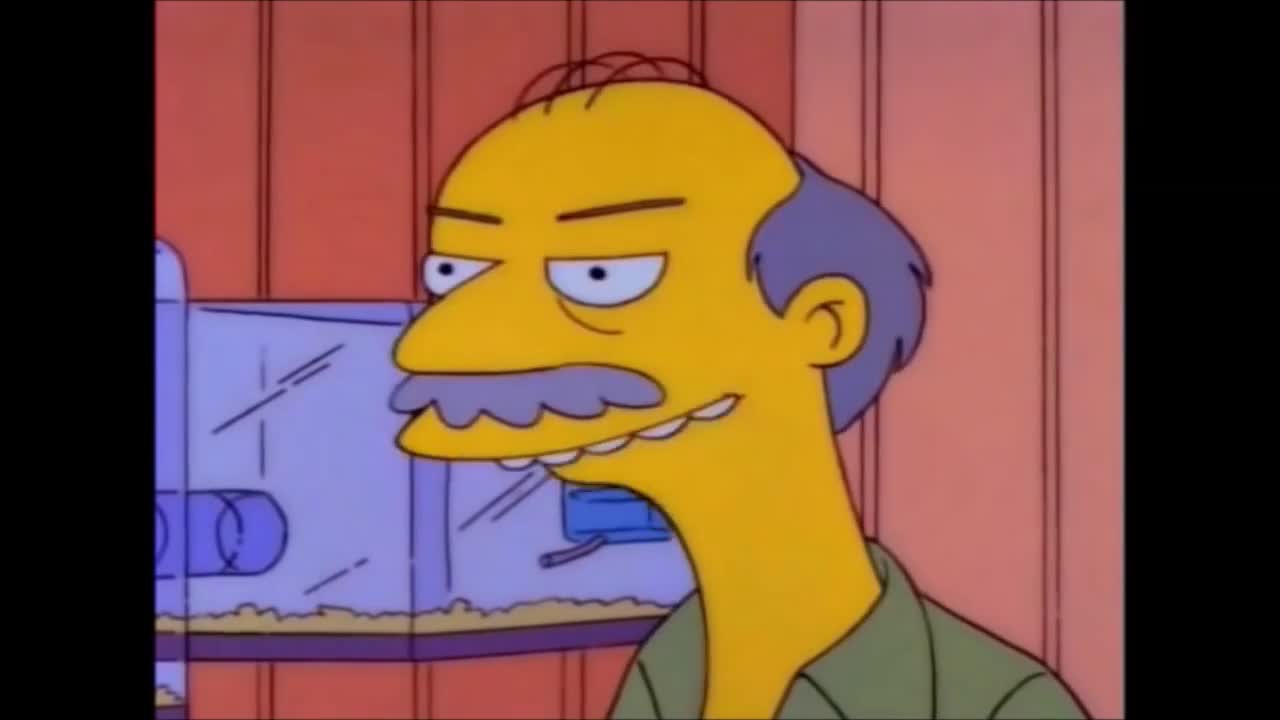 Thought You Were Dumb video clip by Simpsons