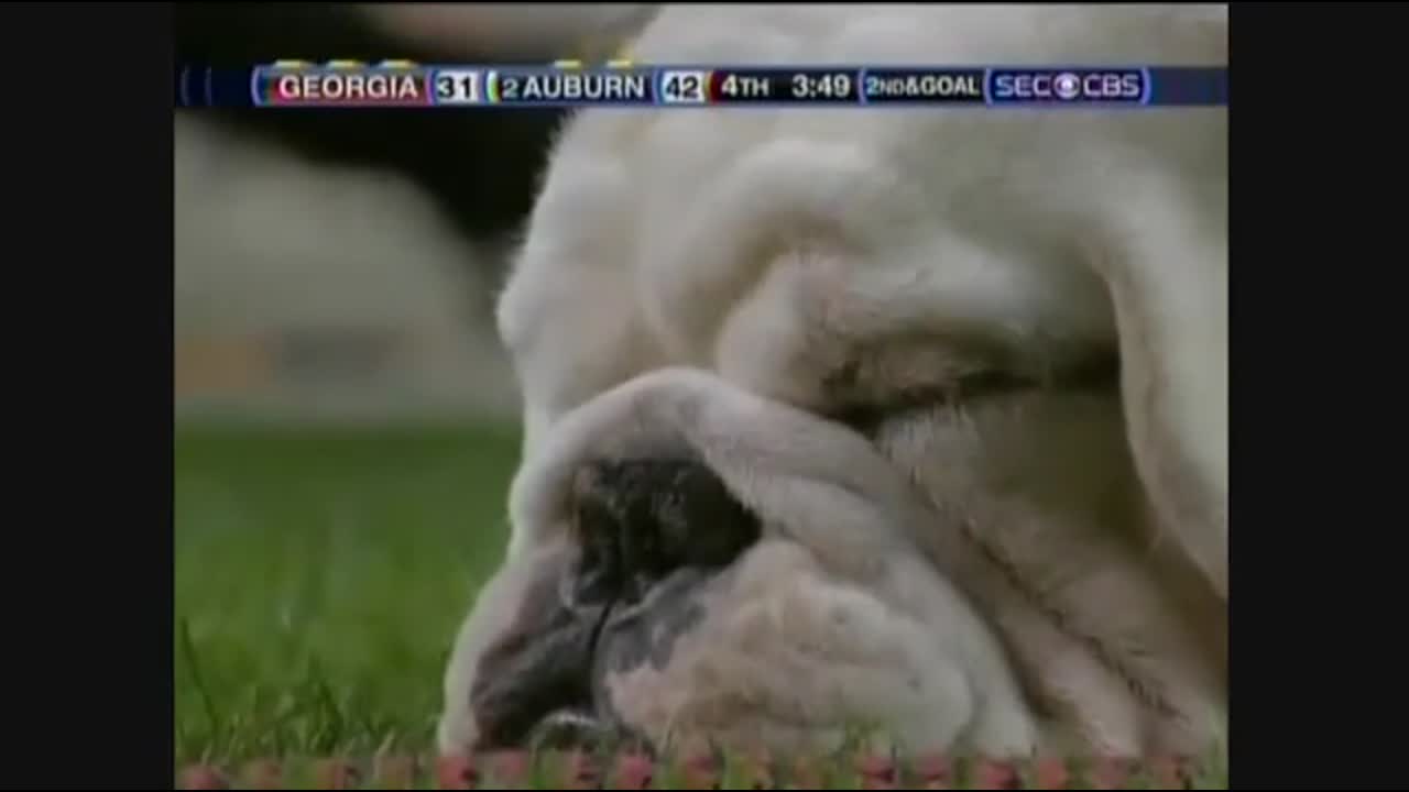 Uga is sleeping video clip by The Internet