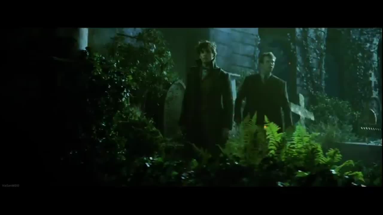 newt 2 video clip by newt