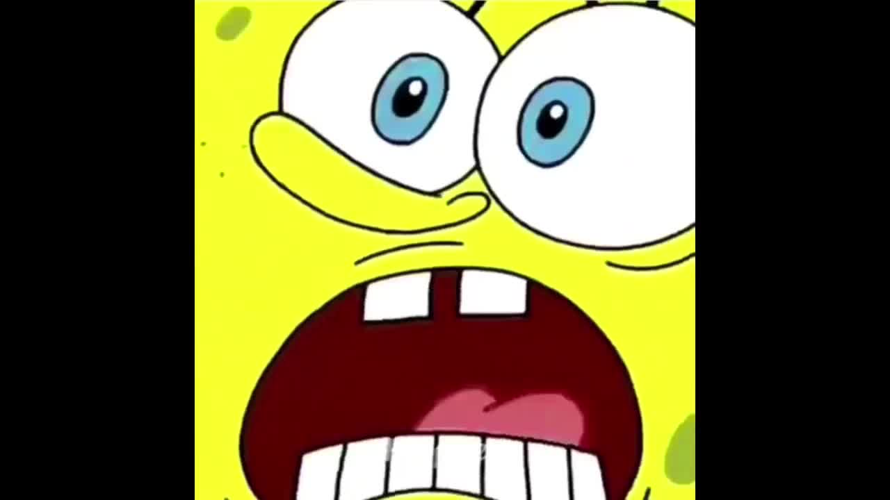 What's that! (Spongebob) video clip by Howard the Alien Meme