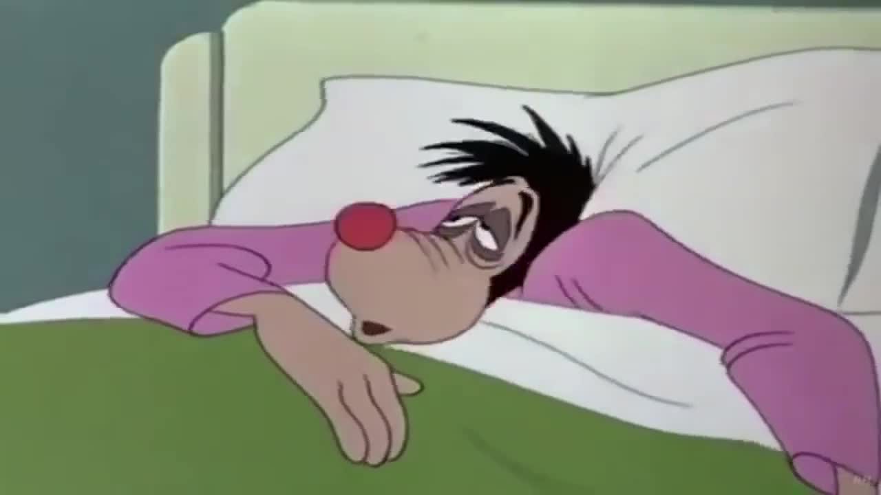 No Im sick video clip by Goofy