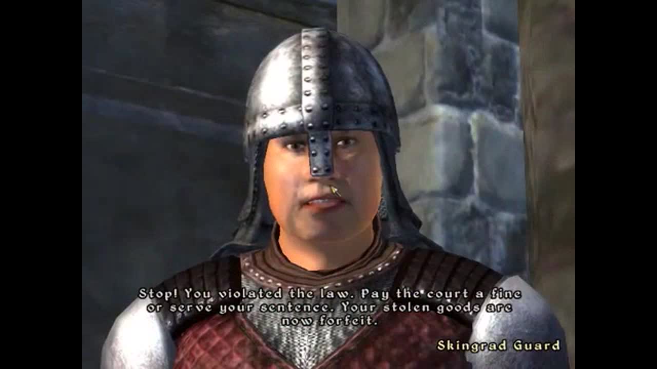 Elder Scrolls STOP You ve Violated The Law Elder Scrolls STOP You ve Violated The Law