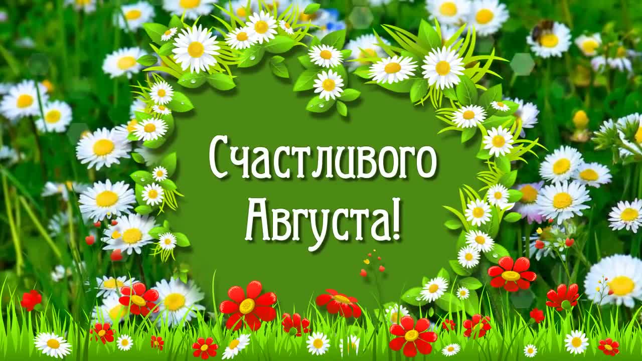 Счастливого Августа! video clip by Niche Cards