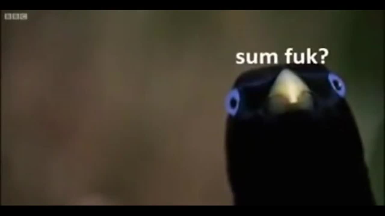 lemme smash video clip by youtube