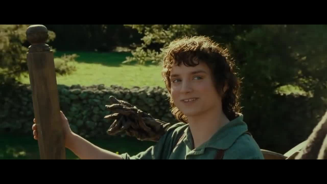 Lord of the Rings: Fellowship of the Ring - All right then, keep your ...