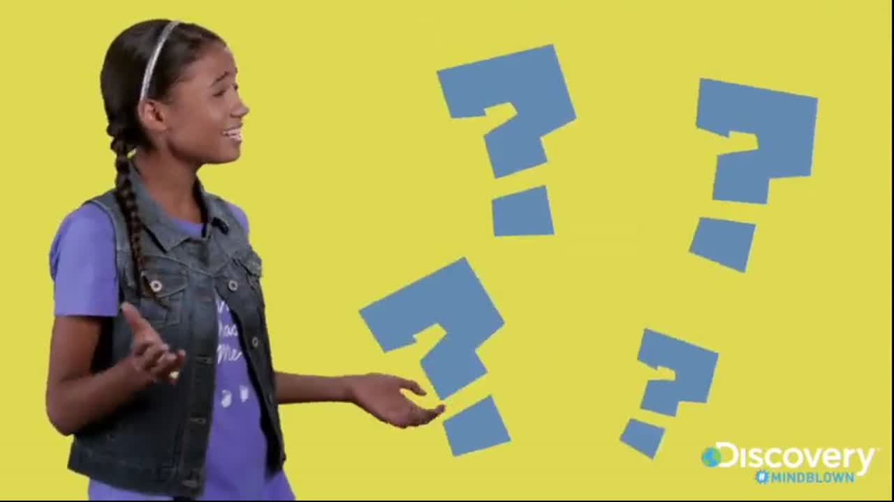Um... what? video clip by MindBlown