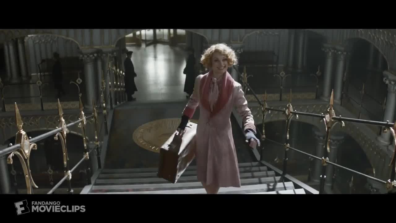 Fantastic Beasts And Where To Find Them Ladies Things Fantastic Beasts And Where To Find Them Ladies Things