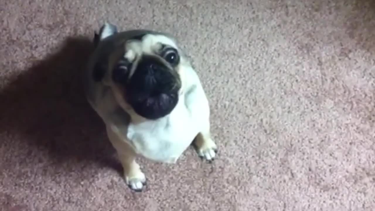 Hello! Hello! Helloooooooooo! video clip by Youtube