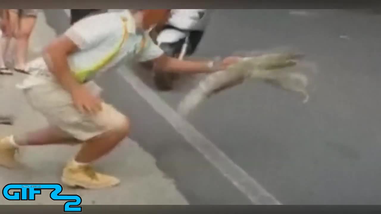 Flying Sloth video clip by GIF with sound 2