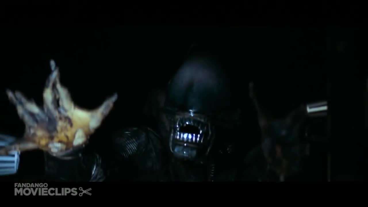 Run Away Dallas video clip by Alien