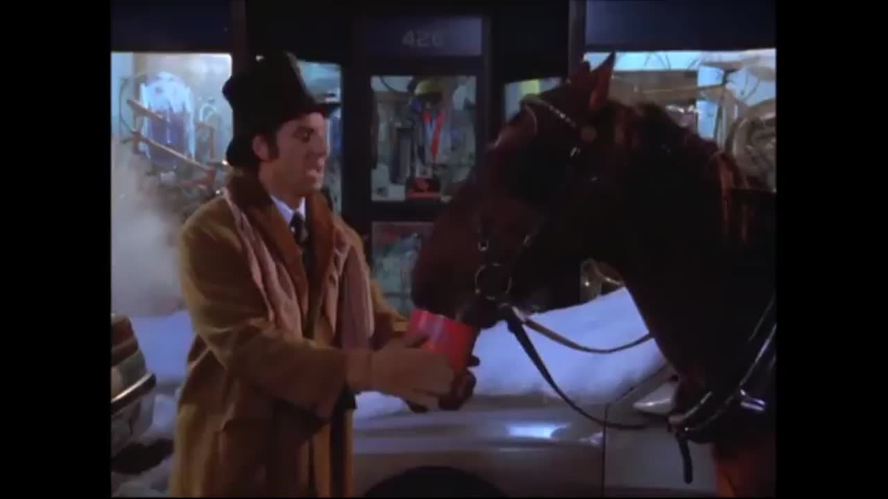 Beefarino video clip by Seinfeld