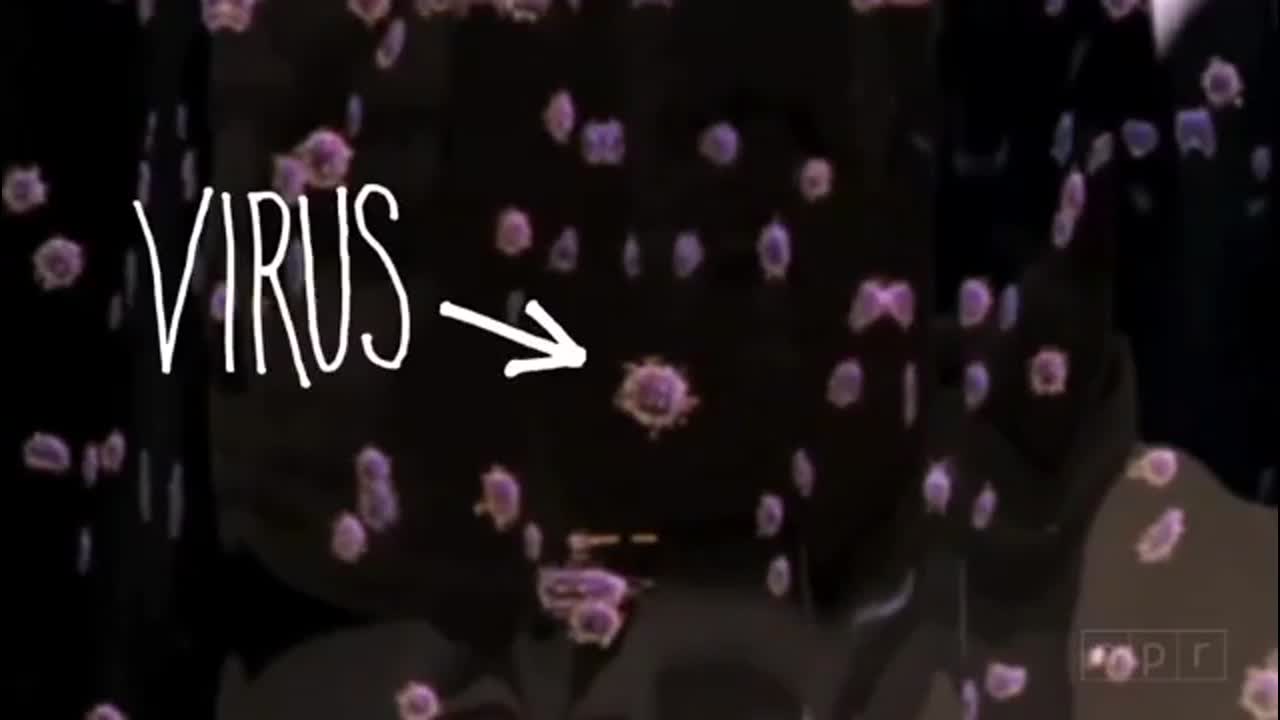 The Flu Explained video clip by NPR