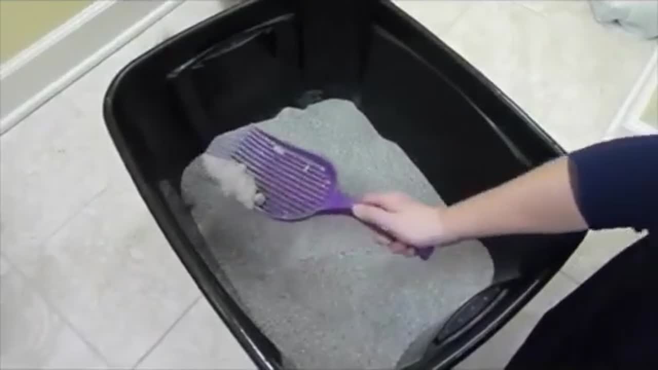 Poopity Scoop video clip by Jeremiah Walker