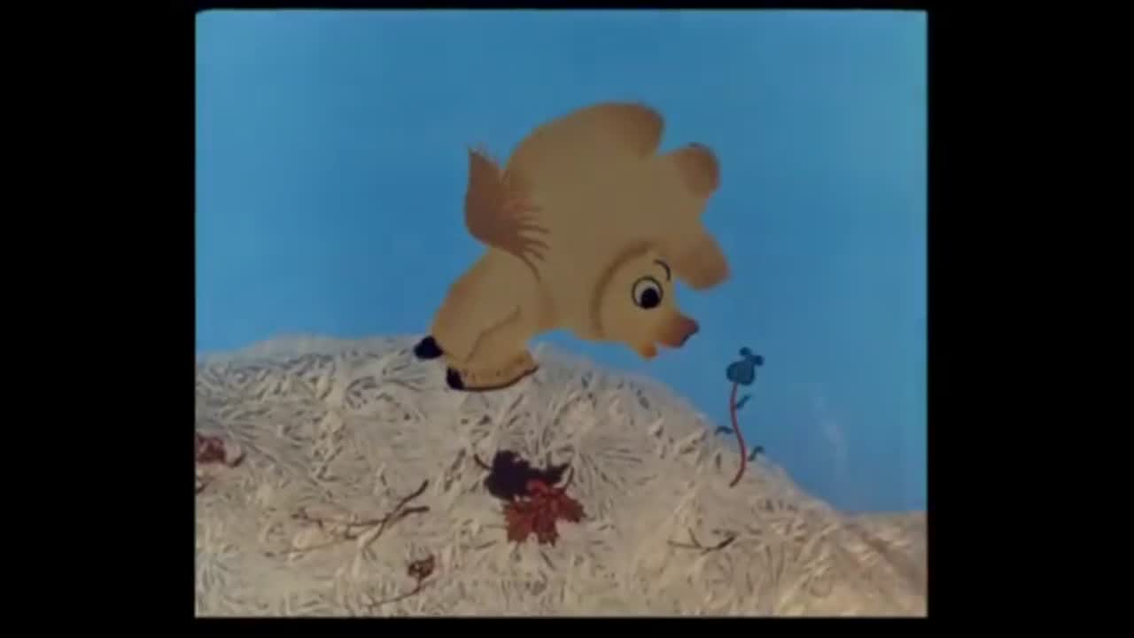 Здравствуйте! video clip by Niche Animation