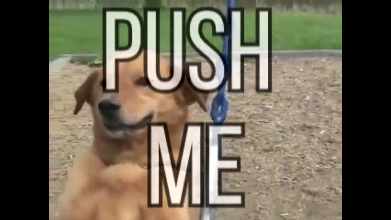 Push Me video clip by The Internet