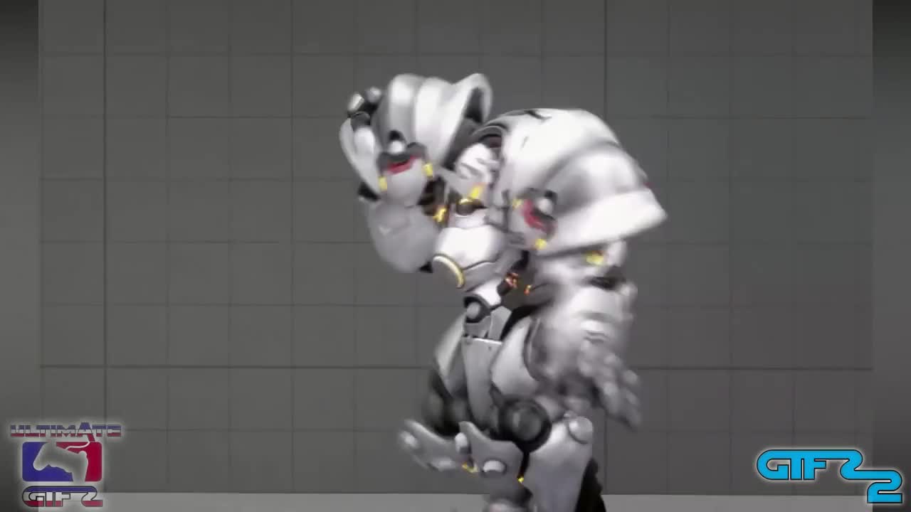 Reinhart Got Moves video clip by GIF with sound 2