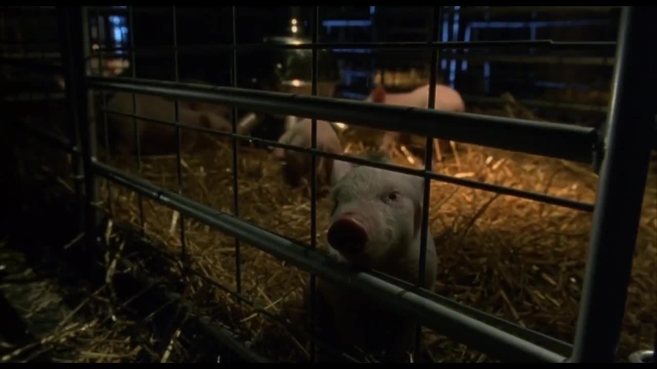 Goodbye, Mom video clip by Babe