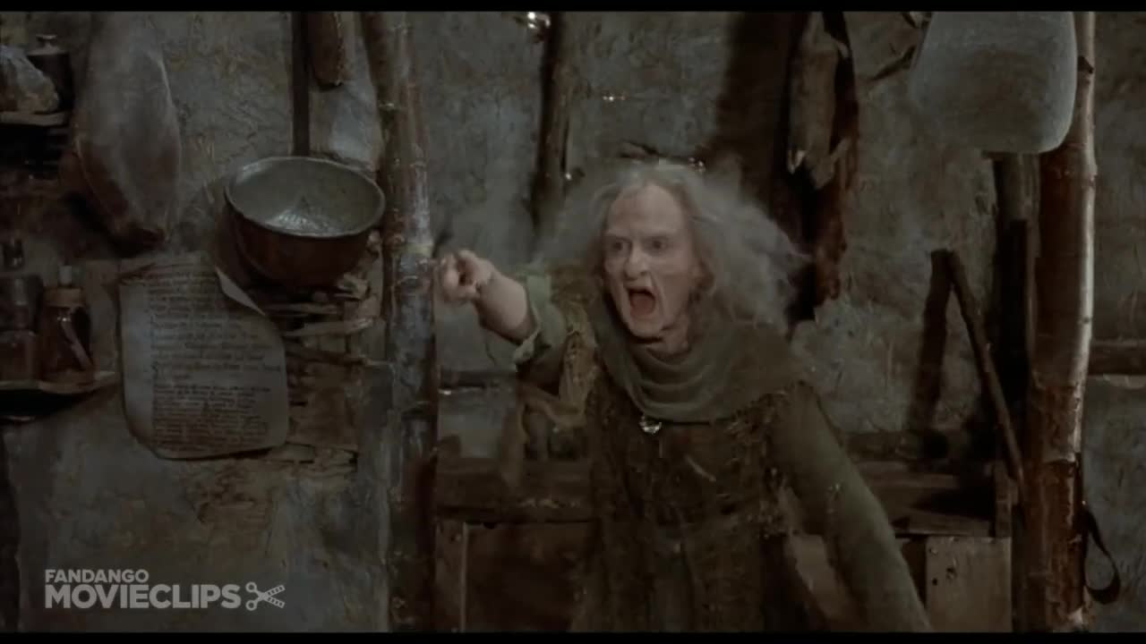 Liar! video clip by The Princess Bride