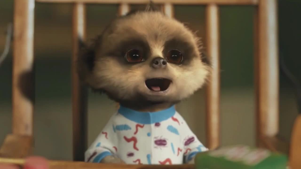 Ah choo video clip by CompareTheMarket.com