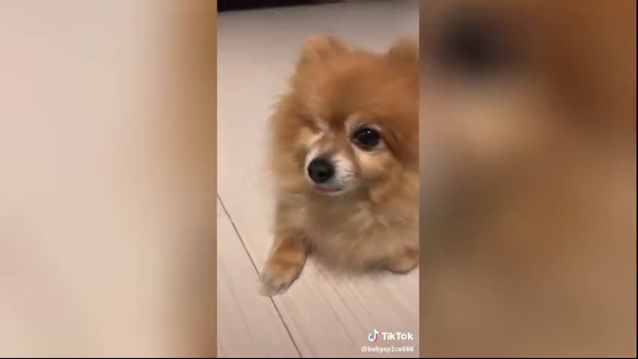 Tiktok Give Me A Second Eye tiktok-give-me-a-second-eye