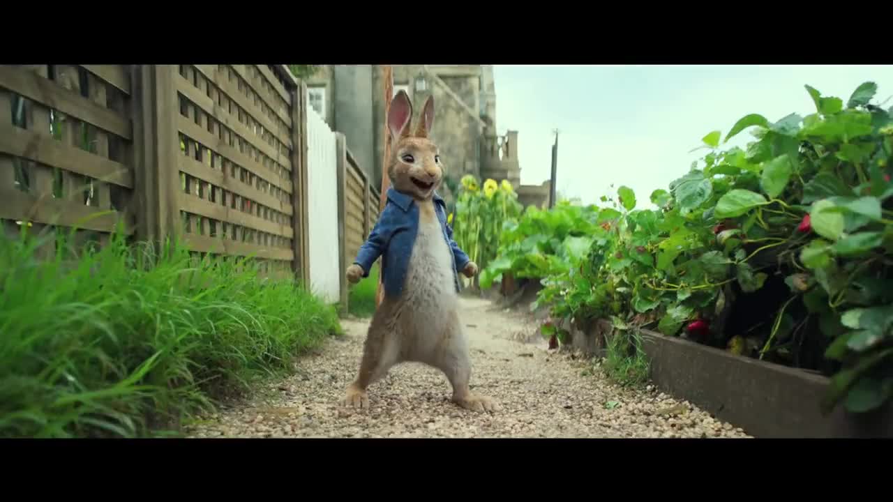 Peter The Rabbit - Peter Rabbit | Perfect Meme Video Clip