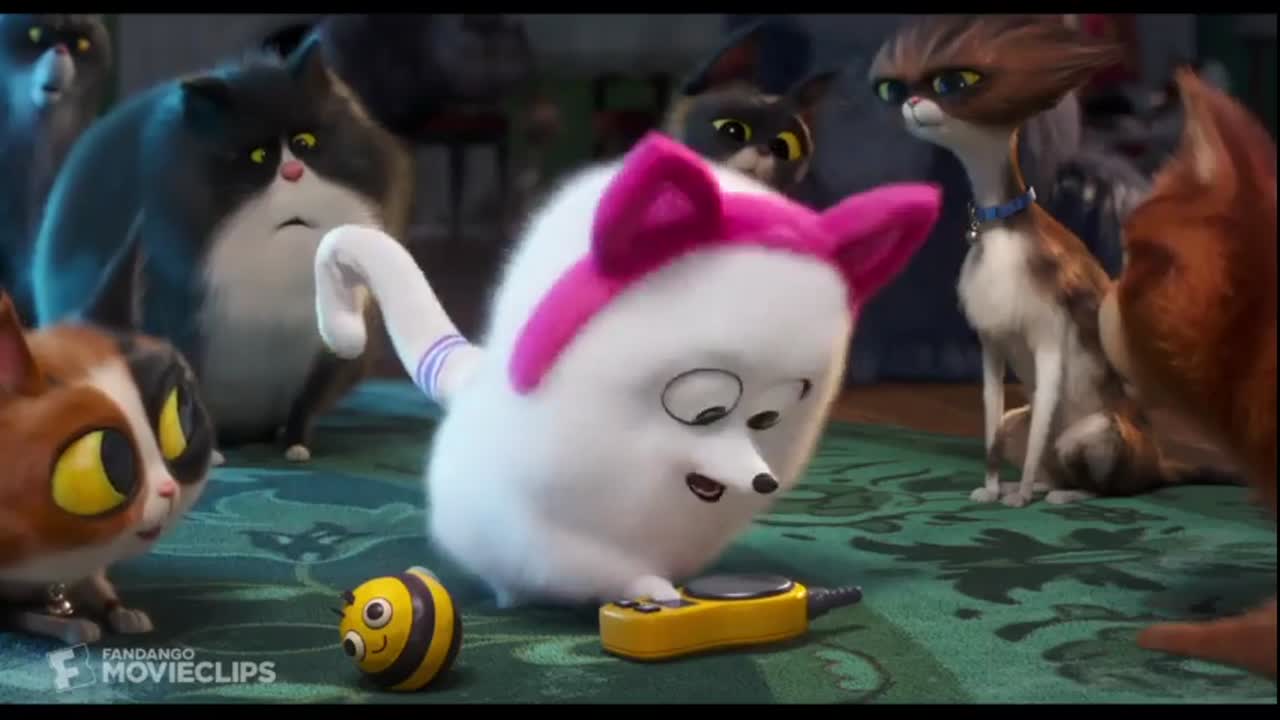We read you loud and clear, over video clip by The Secret Life of Pets 2