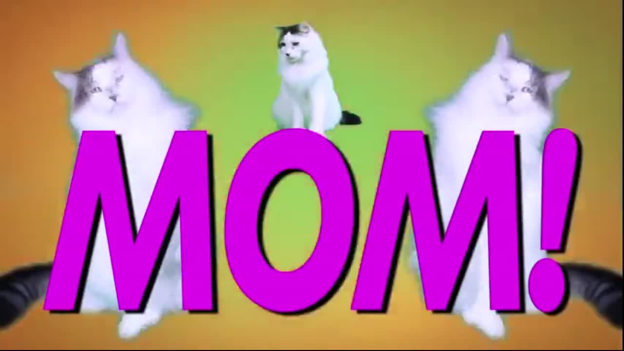 Cats - MOM! | Perfect Meme Video Clip