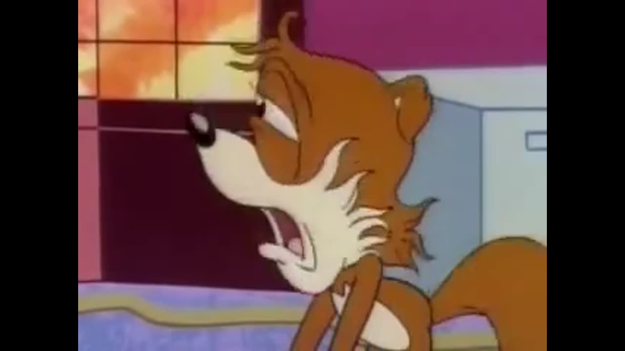 I'm sorry video clip by Sonic