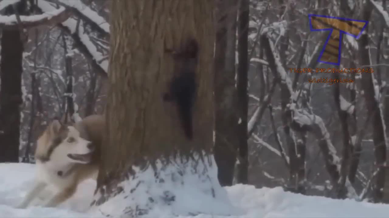 Endless chasing video clip by Tiger Production