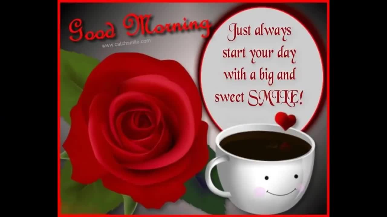 Good Morning video clip by Whatsapp
