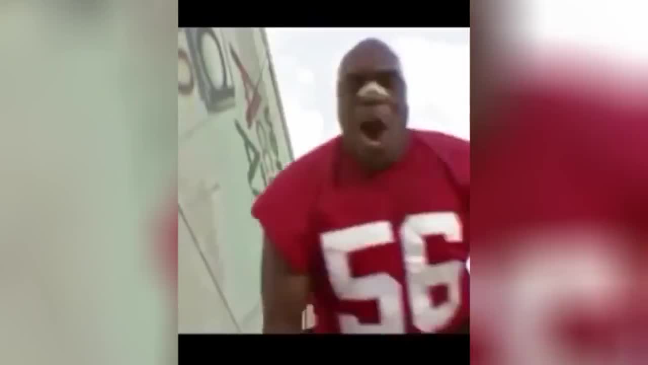 Terry Tate Tackles Trump video clip by Vine