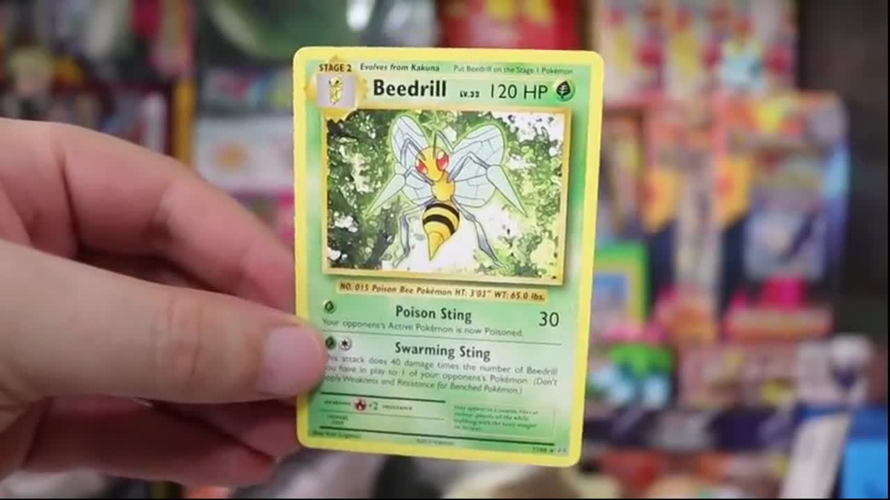 Rare pokemon video clip by maxmoefoePokemon, Leon van der Noll