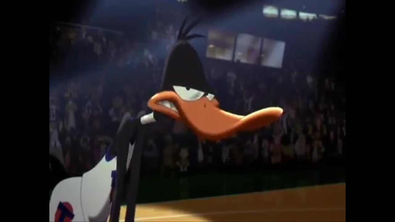 Very funny. Let's all laugh at the duck video clip by Space Jam