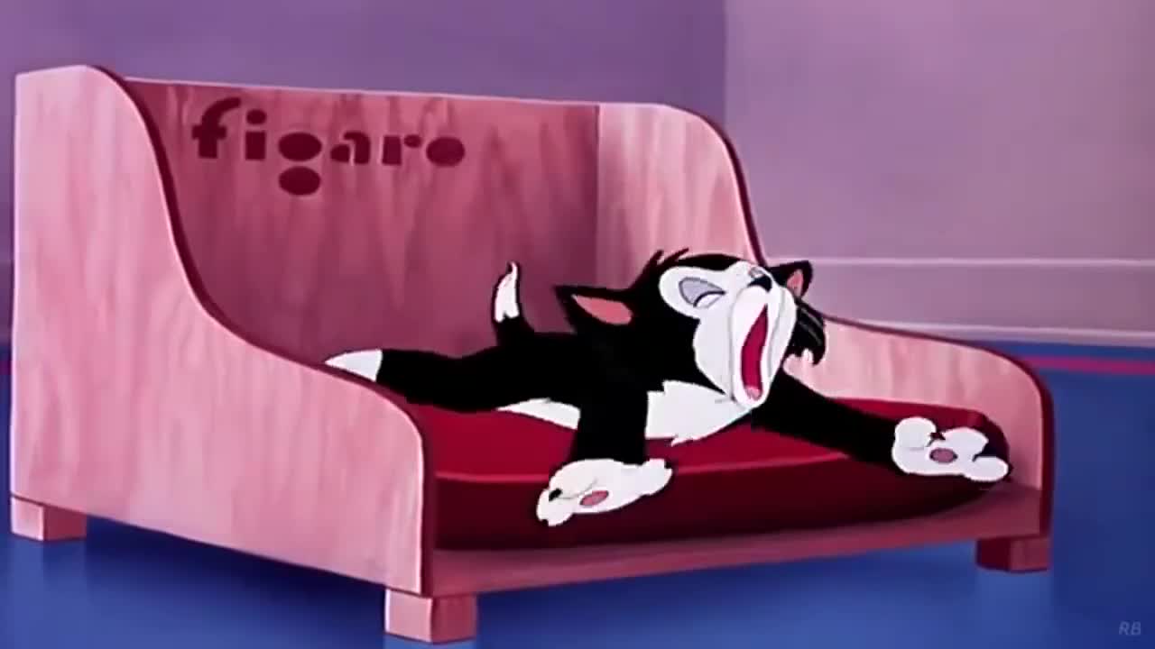 Cat Nap video clip by Figaro