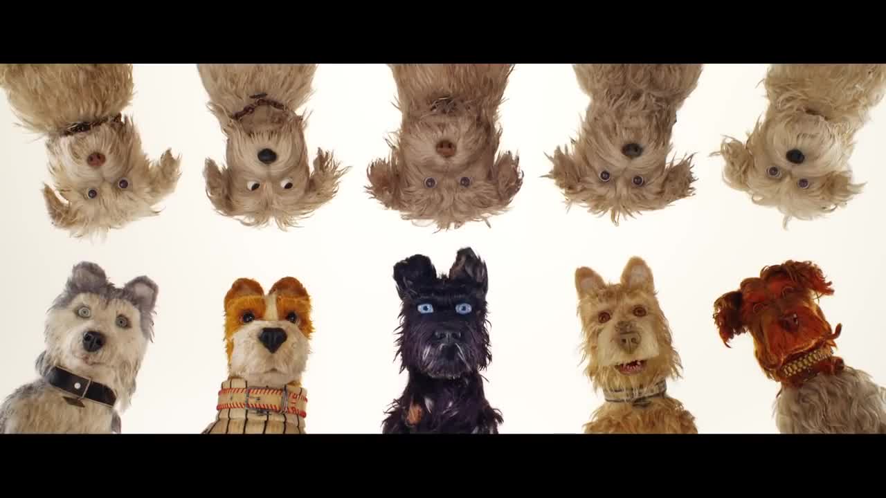 OK It's Worth It video clip by Isle of Dogs Video Clip