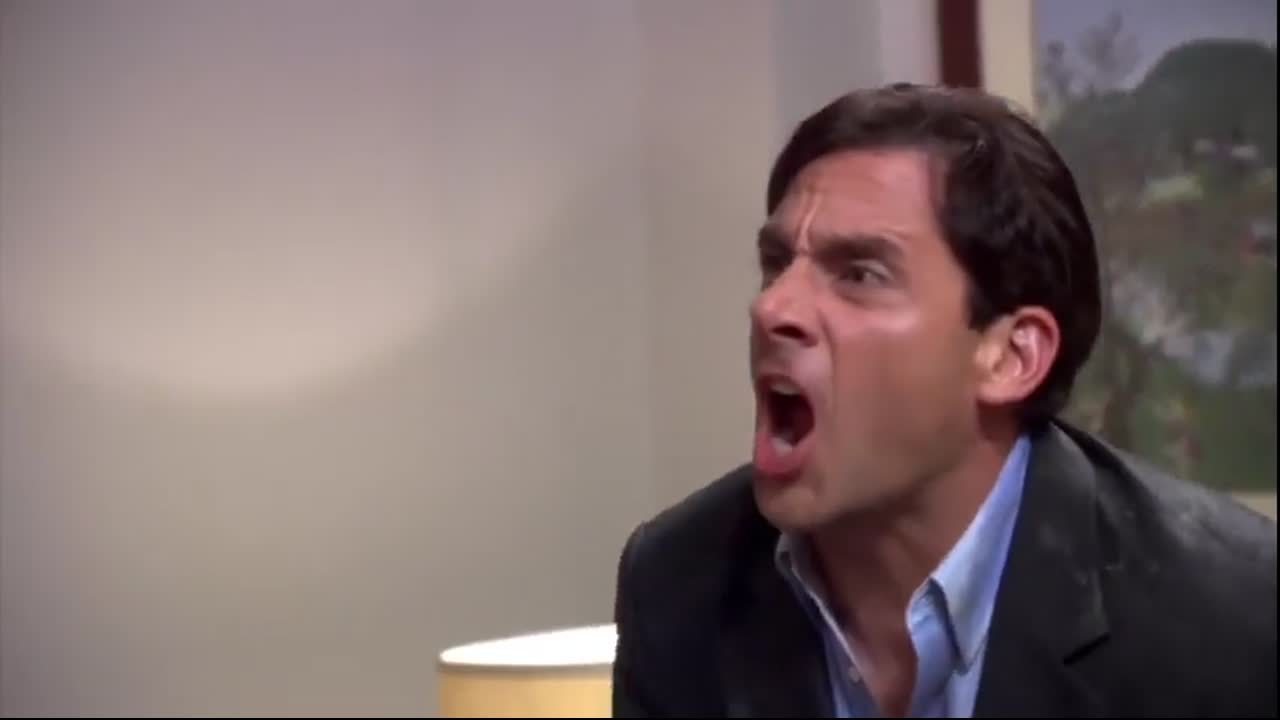 WHERE ARE THE TURTLES?! video clip by The Office